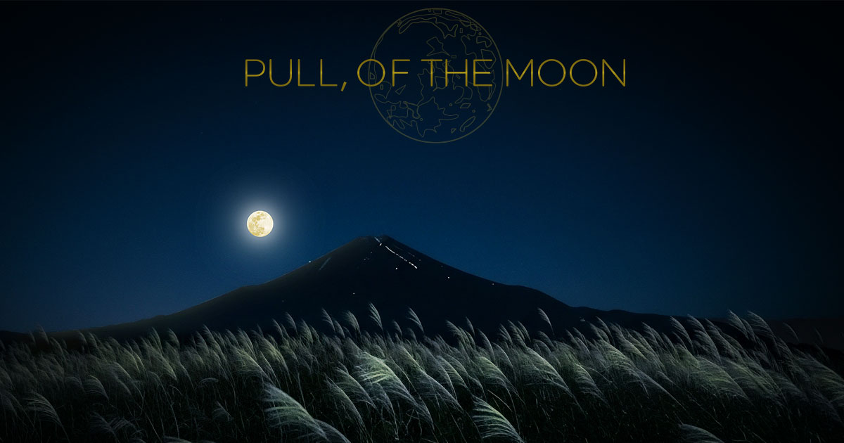 住宅補修・リフォームは【 PULL, OF THE MOON】 クロス・電気工事・建具・外壁・板金、その他各種施工 | 山梨 長野